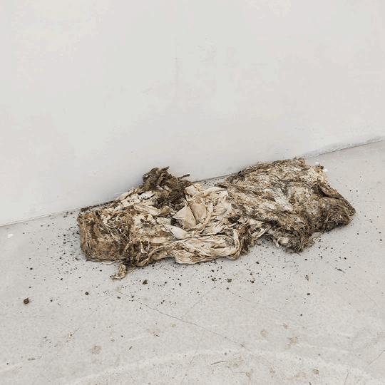 Jade Tang – Tenderfluid